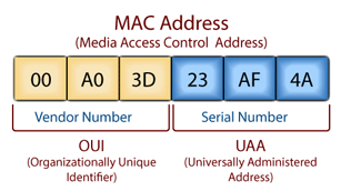 The TCP/IP Model - Troubleshooting the Link Layer